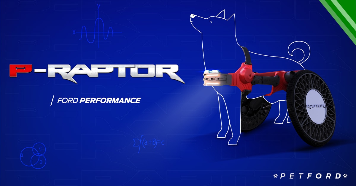 P-Raptor: el Vehículo perfecto para tu mascota | Blog Ford
